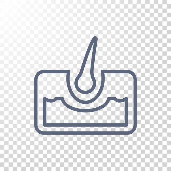 Human hair anatomy Vector Art Stock Images | Depositphotos