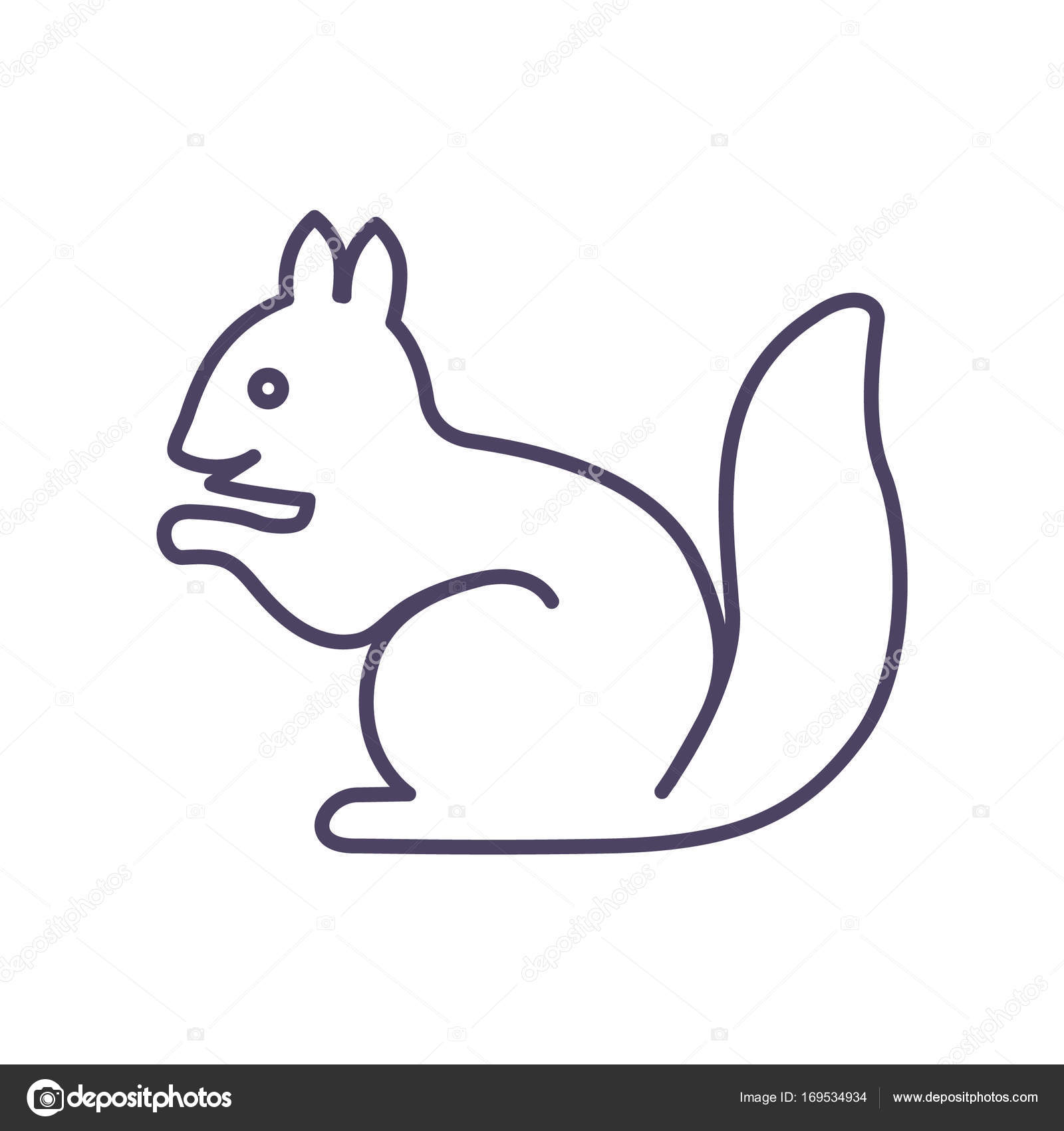 Squirrel web icon Stock Vector by ©Mr.Webicon 169534934