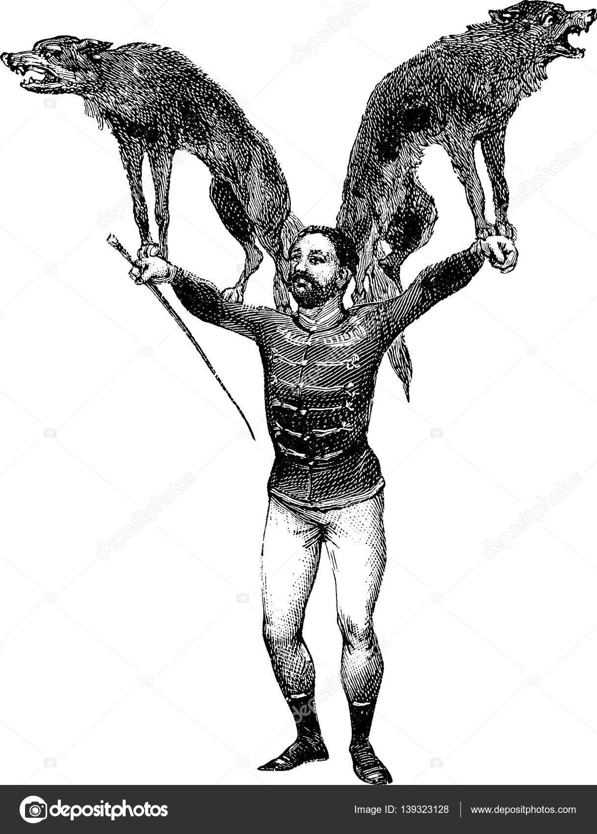 Vintage image tamer, wolves Stock Illustration by ©unorobus.gmail.com ...