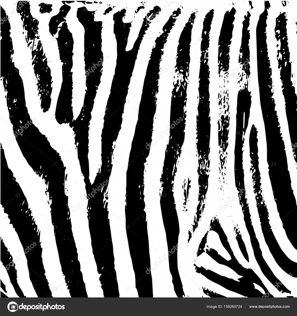 Zebra texture skin Stock Vector Image by ©malyunak.gmail.com #158260724