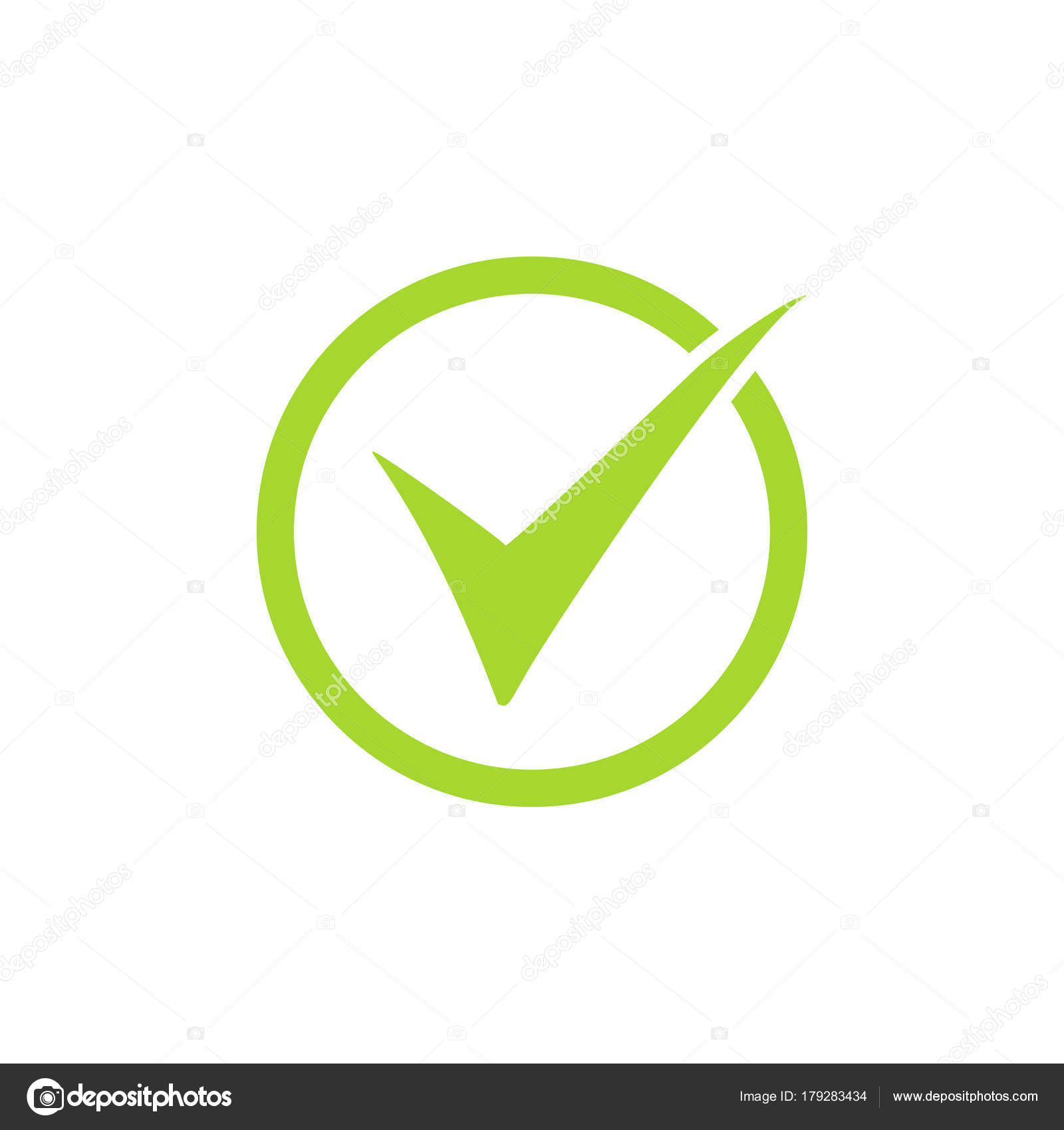 Correct Icon Vector