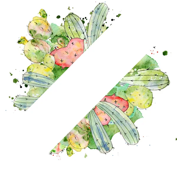 Tropical cactus arrangements, borders, frames watercolor cacti print ...