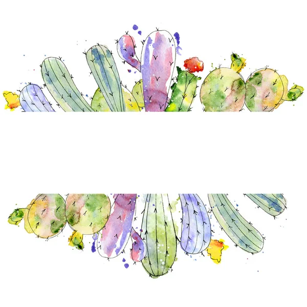 Cactus tropicales arreglos, bordes, marcos acuarela cactus imprimir 2024
