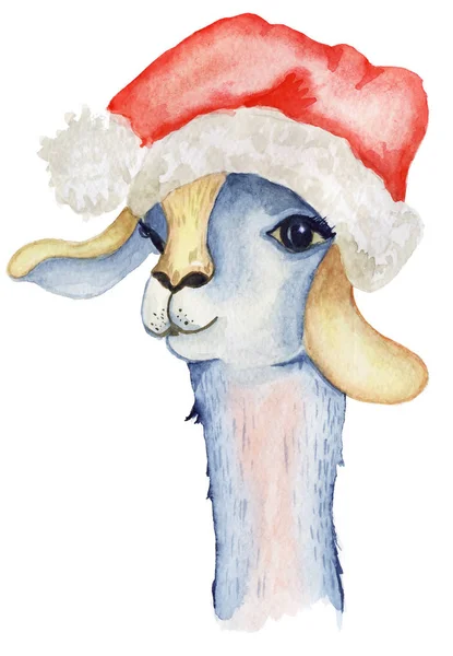 La llama Stock Photos, Royalty Free La llama Images | Depositphotos