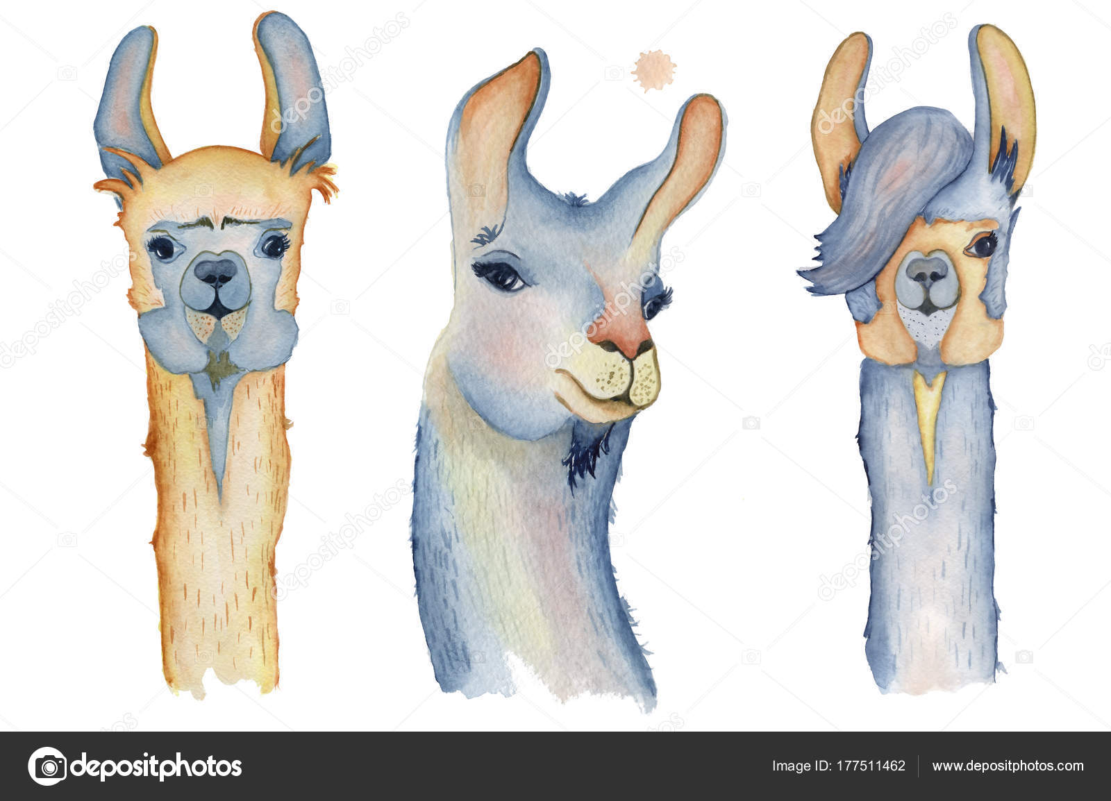 Cute Llama cartoon characters set watercolor illustration, Alpaca ...