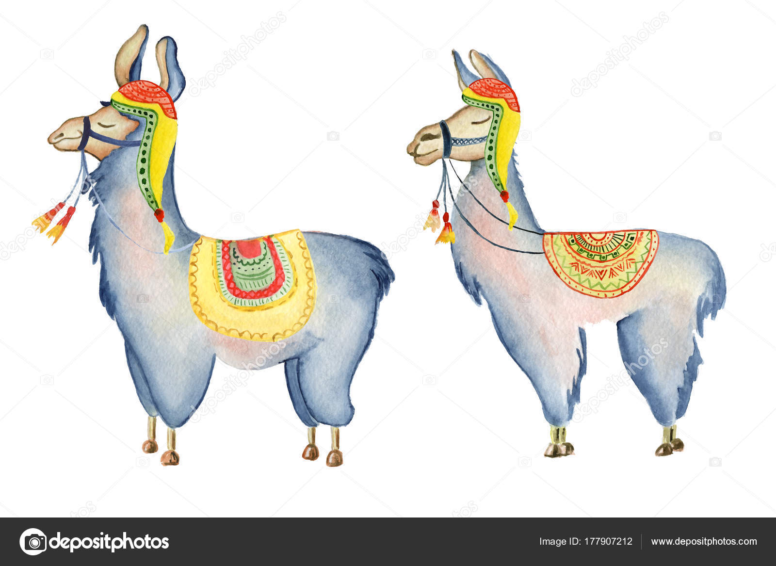 Cute Llama cartoon characters set watercolor illustration, Alpaca ...