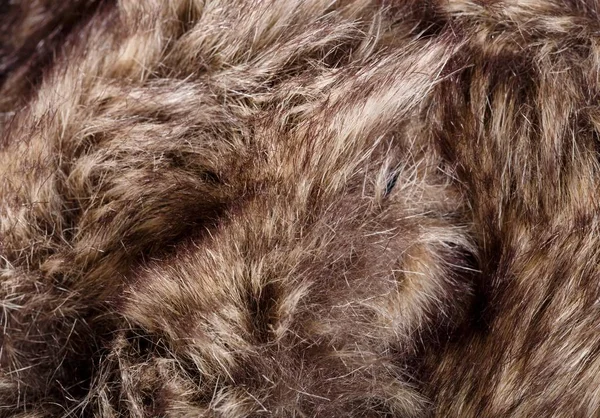 texture of fur. Red Brown Grey Wolf, Fox, Bear Fur Natural, Animal ...