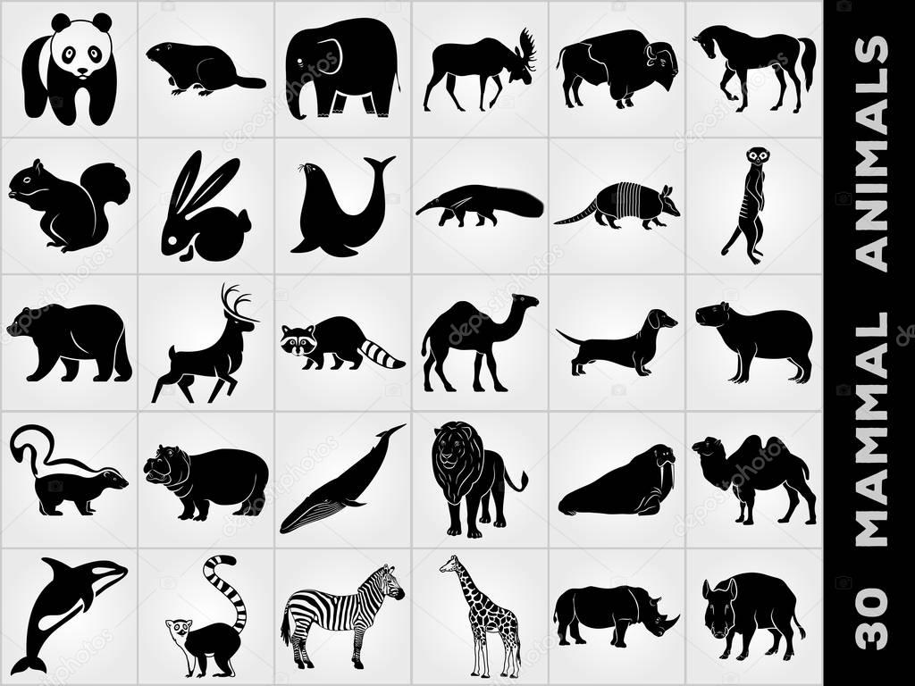 Set de iconos de Treinta Animales Mamíferos 2024
