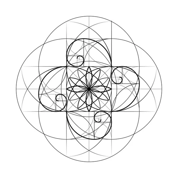 Flower Of Life Golden Ratio | Best Flower Site