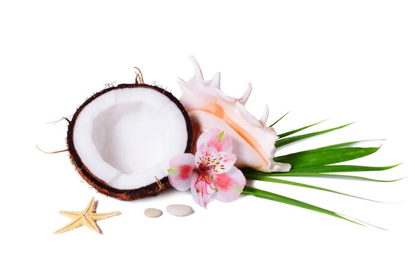 Fotos de Coco com flor, Imagens de Coco com flor sem royalties ...