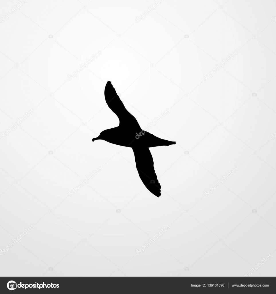 Albatross bird icon illustration isolated vector sign symbol Stock ...