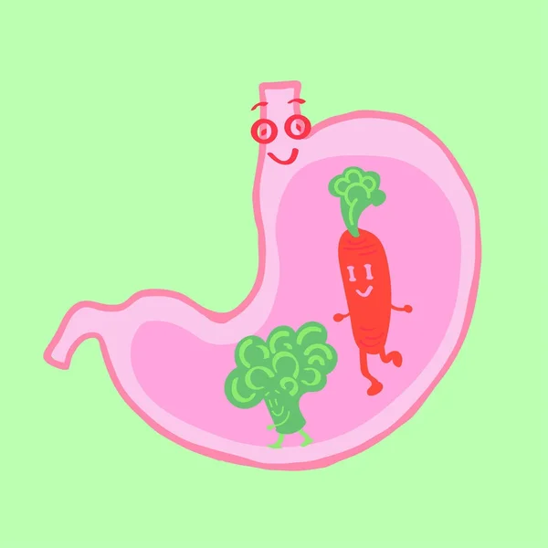 Healthy Contented Stomach Filled Fresh Vegetables Vector Illustration ...