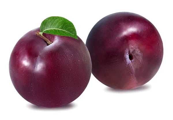 Étiquette de prune images libres de droit, photos de Étiquette de prune ...