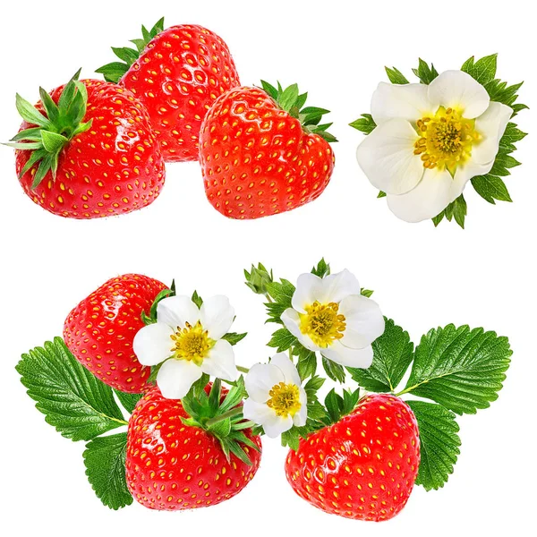 Strawberry varieties Stock Photos, Royalty Free Strawberry varieties ...