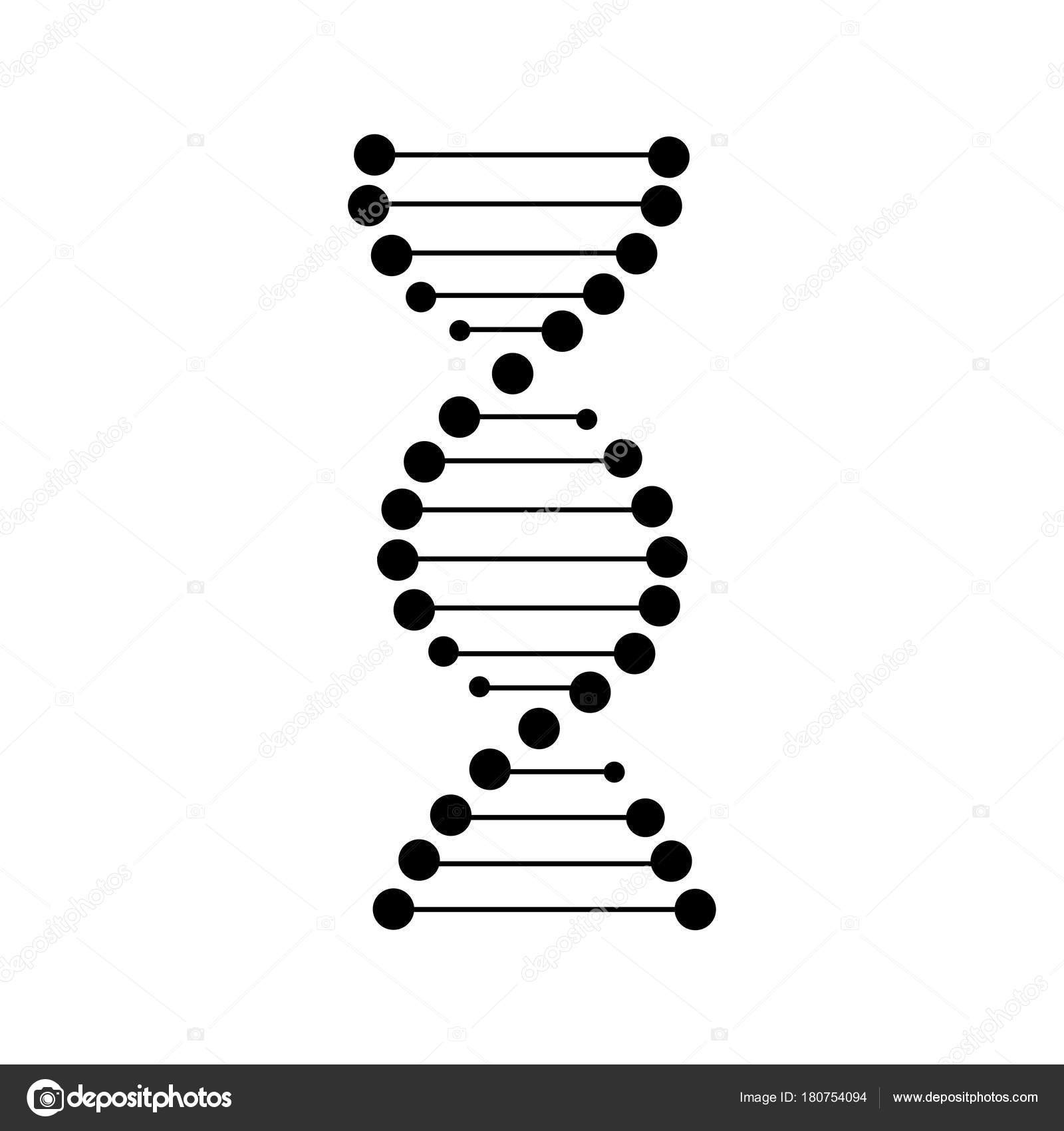 Dna Vector Dna Icon — Stock Vector © brigada915.gmail.com #180754094