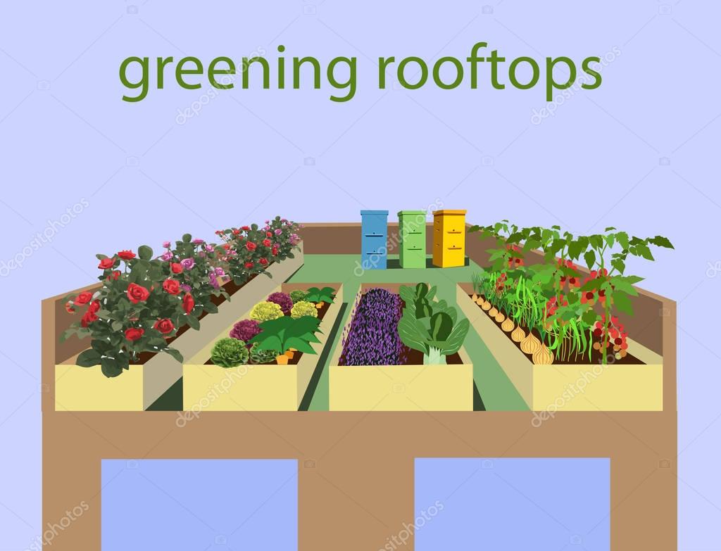 Greening rooftops.Rooftop garden in urban setting.Top view of rooftop ...