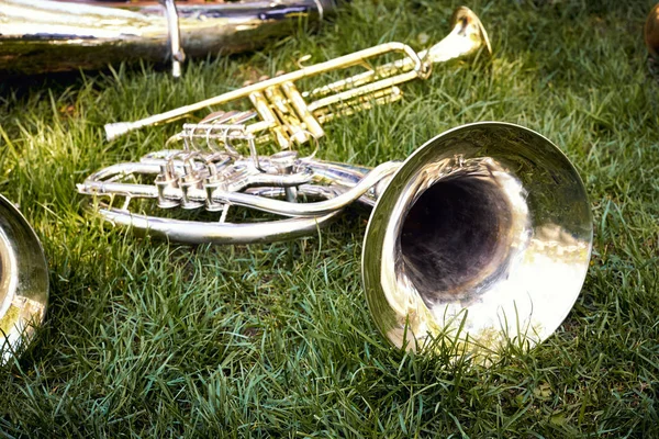 Several Ancient Musical Wind Instruments Lie Green Grass Park Cornet ...