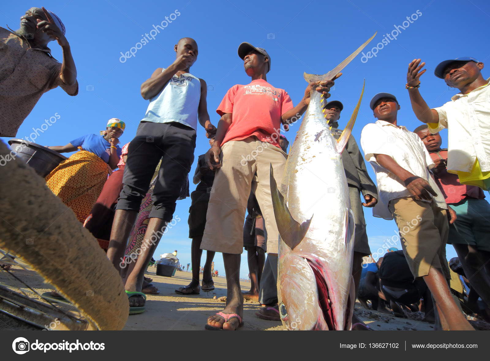 People sorting caught fish – Stock Editorial Photo © YuryBirukov #136627102