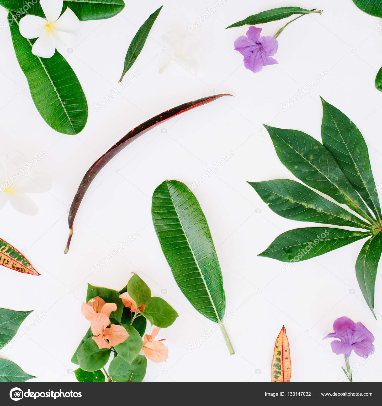 Topical exotic colored leaf pattern on white — Stock Photo ...