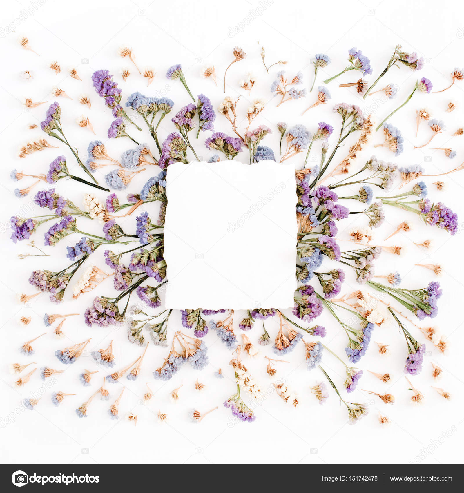 Empty white paper blank on blue and purple dried flowers frame Stock ...