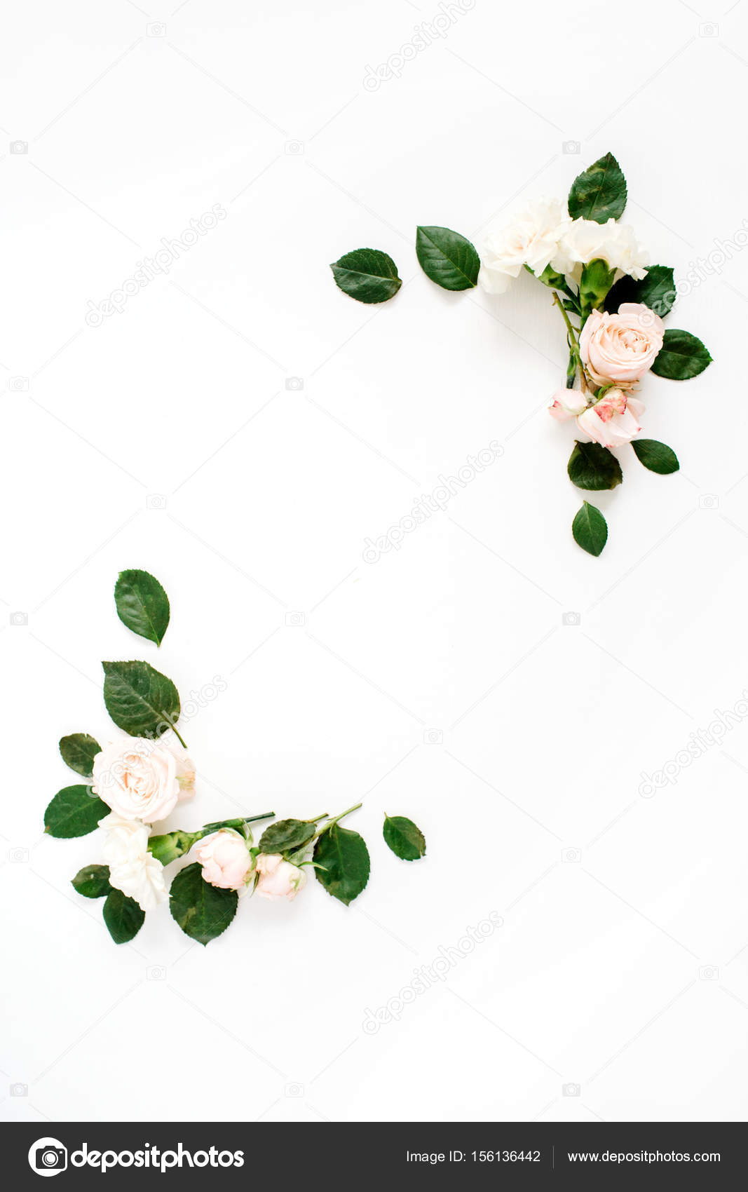 Border frame with beige rose flower buds — Stock Photo ...