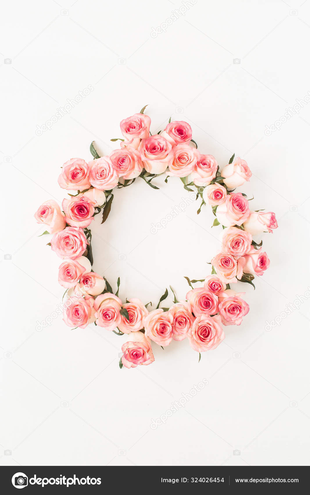 Bordure Cadre Rond Boutons Fleurs Roses Sur Fond Blanc Maquette — Photo ...