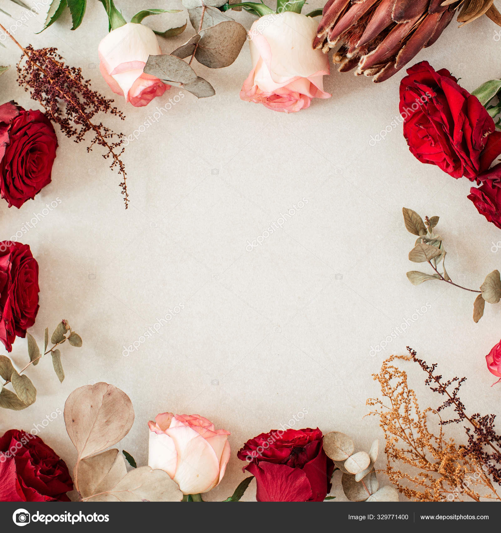Frame Border Pink Red Rose Flowers Protea Tropical Palm Leaf Stock ...