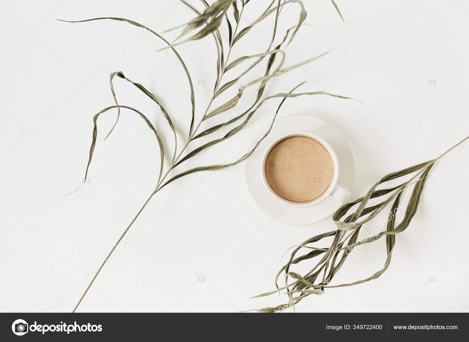 Closeup Stringy Green Plant Coffee Cup White Background Flat Lay ...