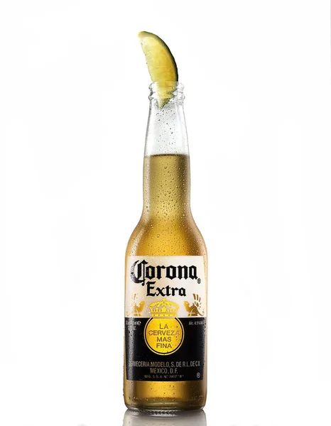 Bottle Cold Corona Extra Beer Black Background – Stock Editorial Photo ...