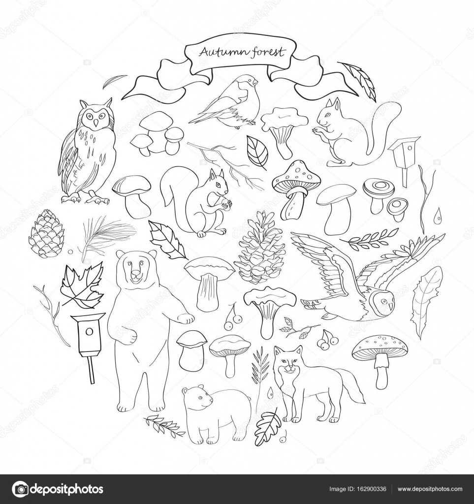 Set with the image of leaves, branches, berries, flowers, animals and ...