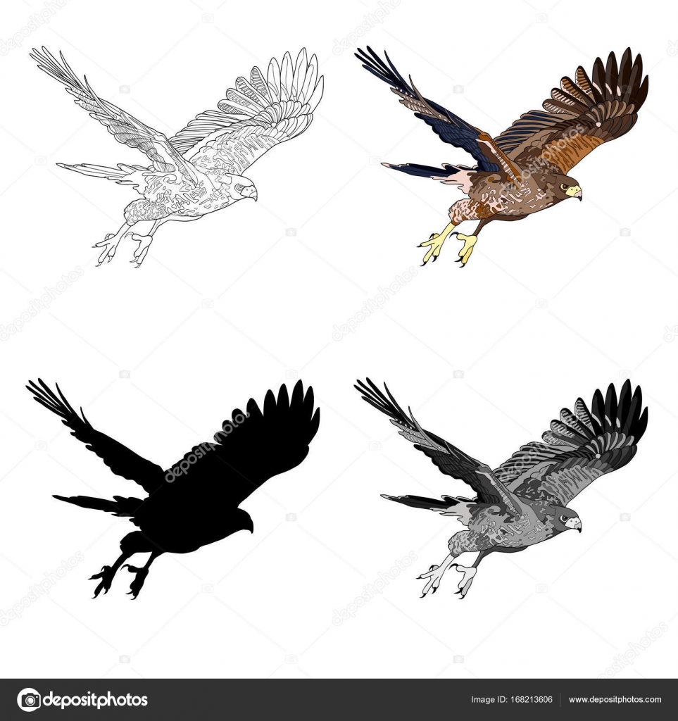 Flying Hawk Silhouette