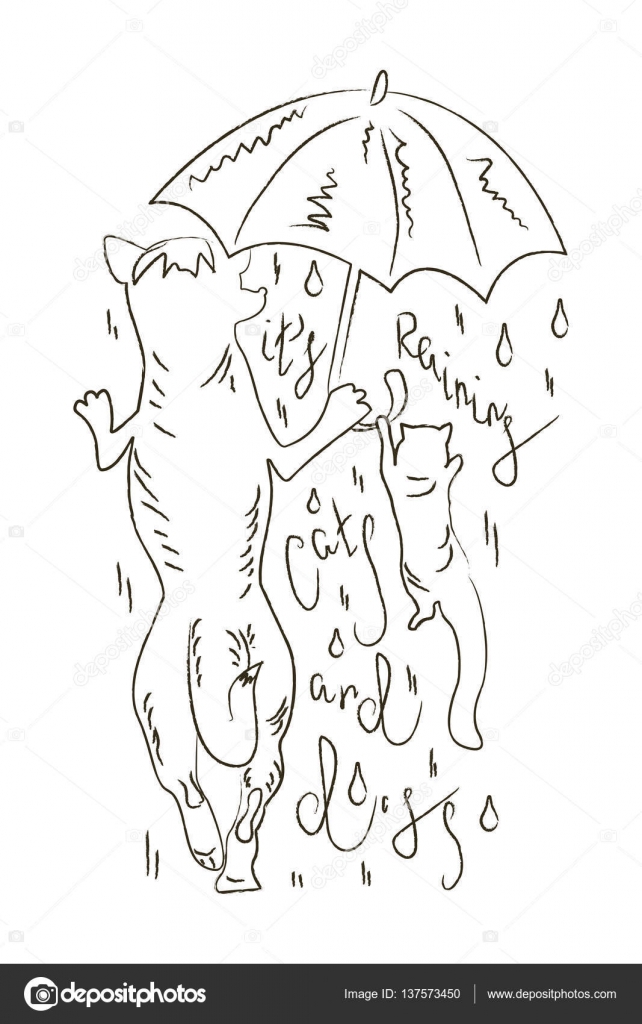 Its raining cats and dogs Stock Vector Image by ©tatianastulbo.gmail ...