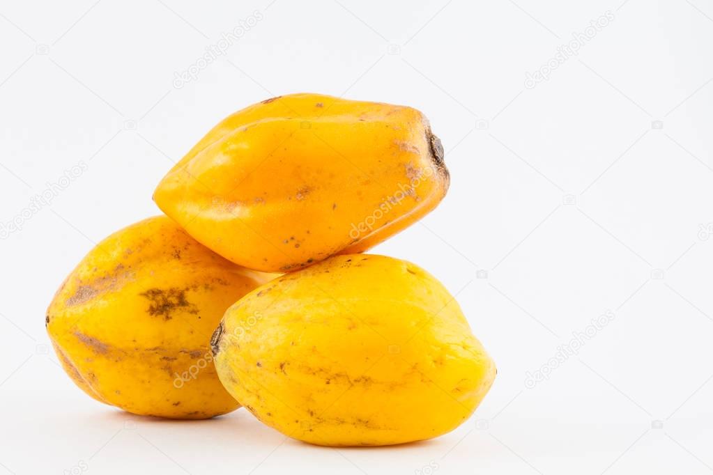 Papaya de montaña (Vasconcellea pubescens) 2022