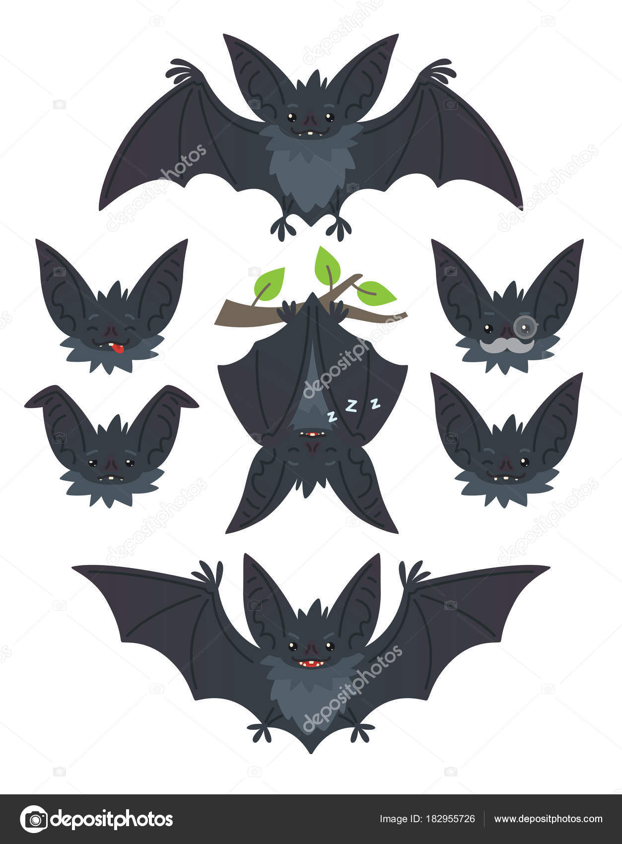 Bat in various poses. Flying, hanging. Grey bat-eared snouts with ...