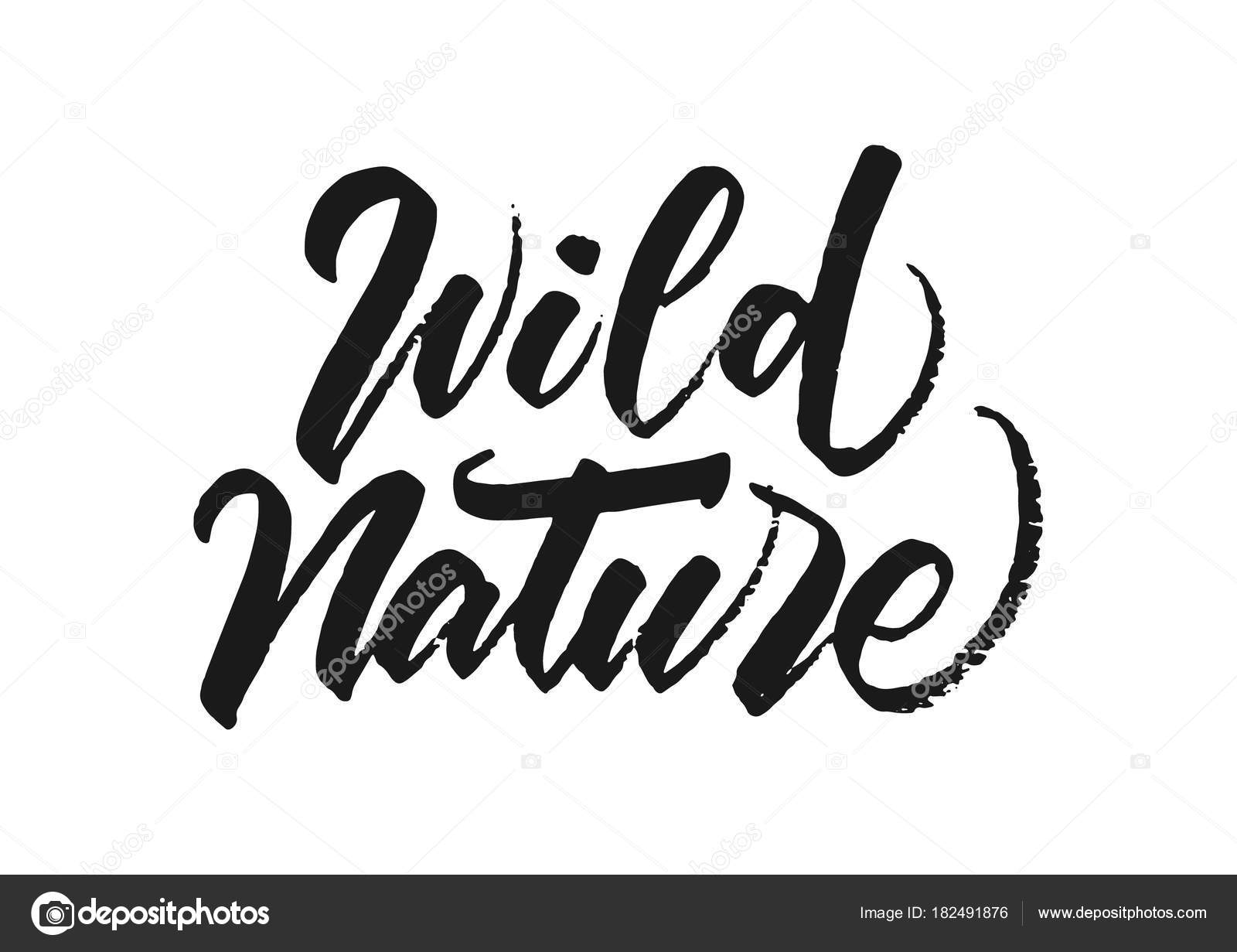 Handwritten brush lettering of Wild Nature on white background. Stock ...