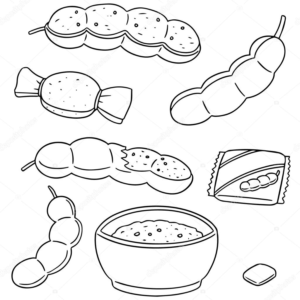 Tamarind Line Drawing