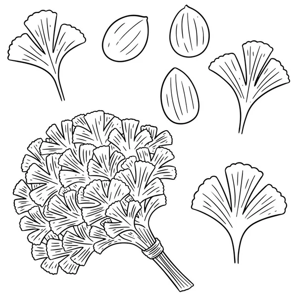 Coloring book for children, balloons — Stock Vector © LuisaVenturoli ...