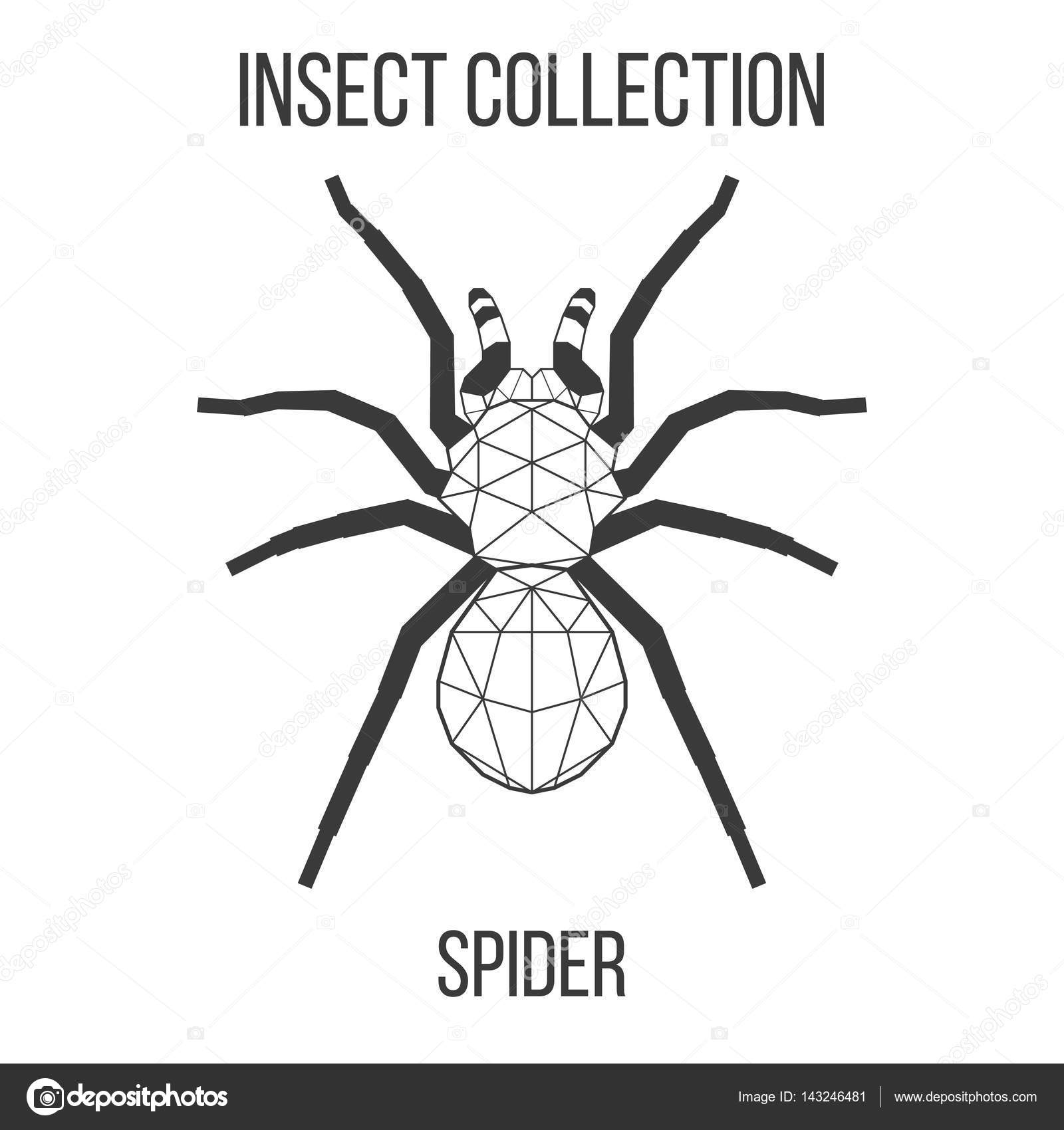 Geometric spider icon Stock Vector by ©aliakseizykau.gmail.com 143246481