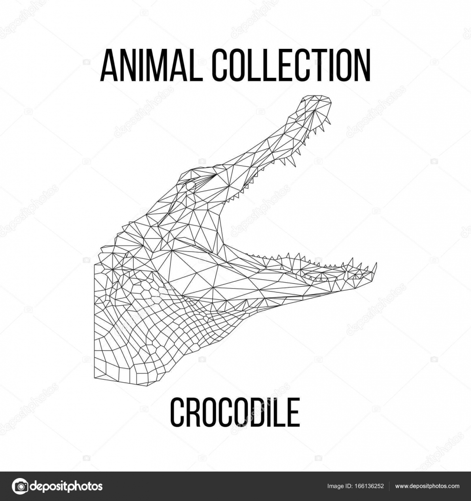 Geometric crocodile head Stock Vector Image by ©aliakseizykau.gmail.com ...