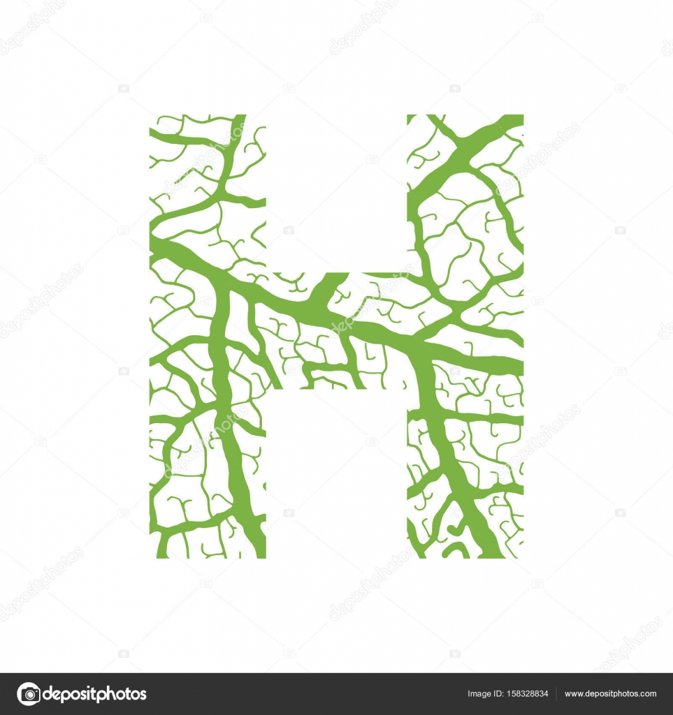 The Letter H In Nature