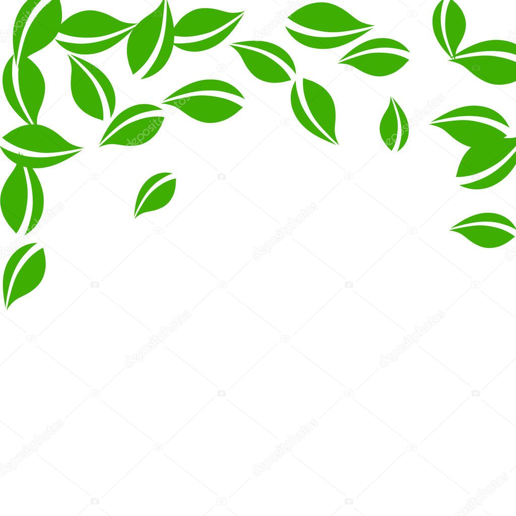 Hojas verdes cayendo. Té fresco hojas limpias volando 2023 Hojas verdes cayendo. Té fresco hojas limpias volando 2023
