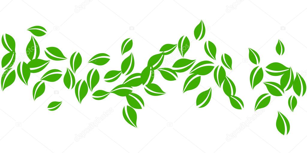 Hojas verdes cayendo. Té fresco hojas limpias volando 2023 Hojas verdes cayendo. Té fresco hojas limpias volando 2023
