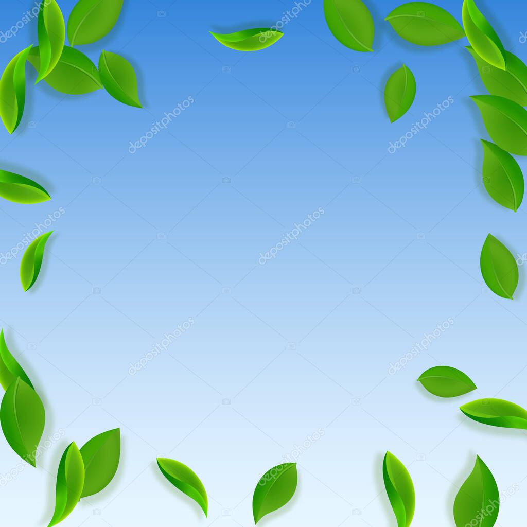 Hojas verdes cayendo. Té fresco hojas limpias volando 2023 Hojas verdes cayendo. Té fresco hojas limpias volando 2023