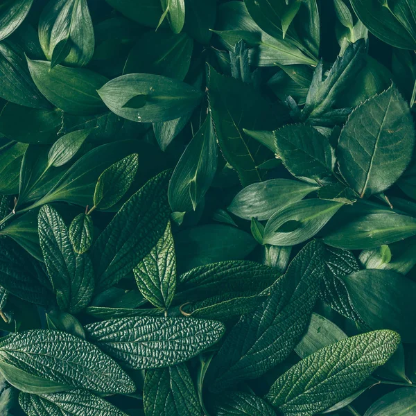 Greenery Stock Photos, Royalty Free Greenery Images | Depositphotos