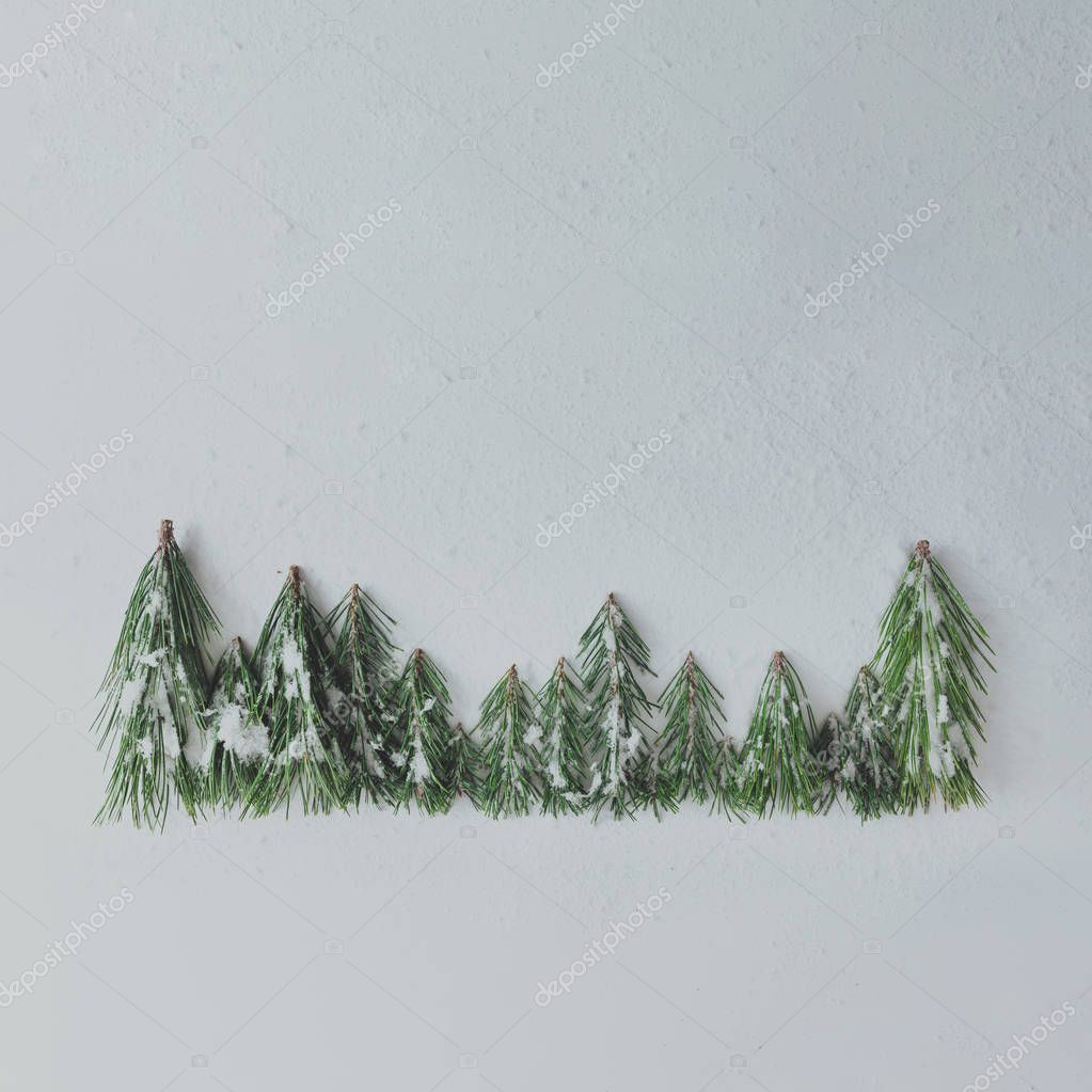 Evergreen Pine Forest Treeline Made Tree Branches Snow Minimal Winter ...