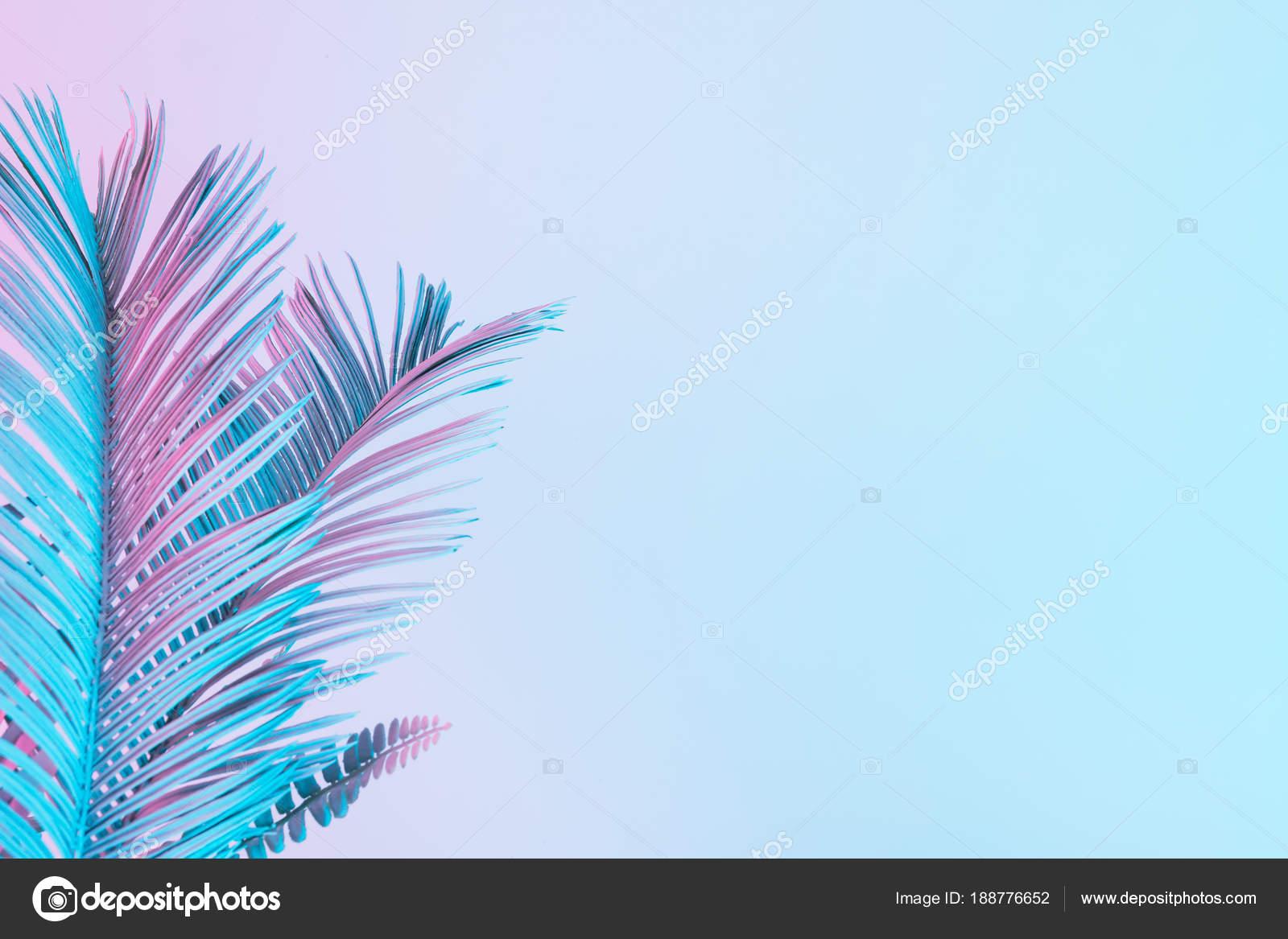 Tropical Palm Leaves Vibrant Bold Gradient Holographic Colors Concept ...