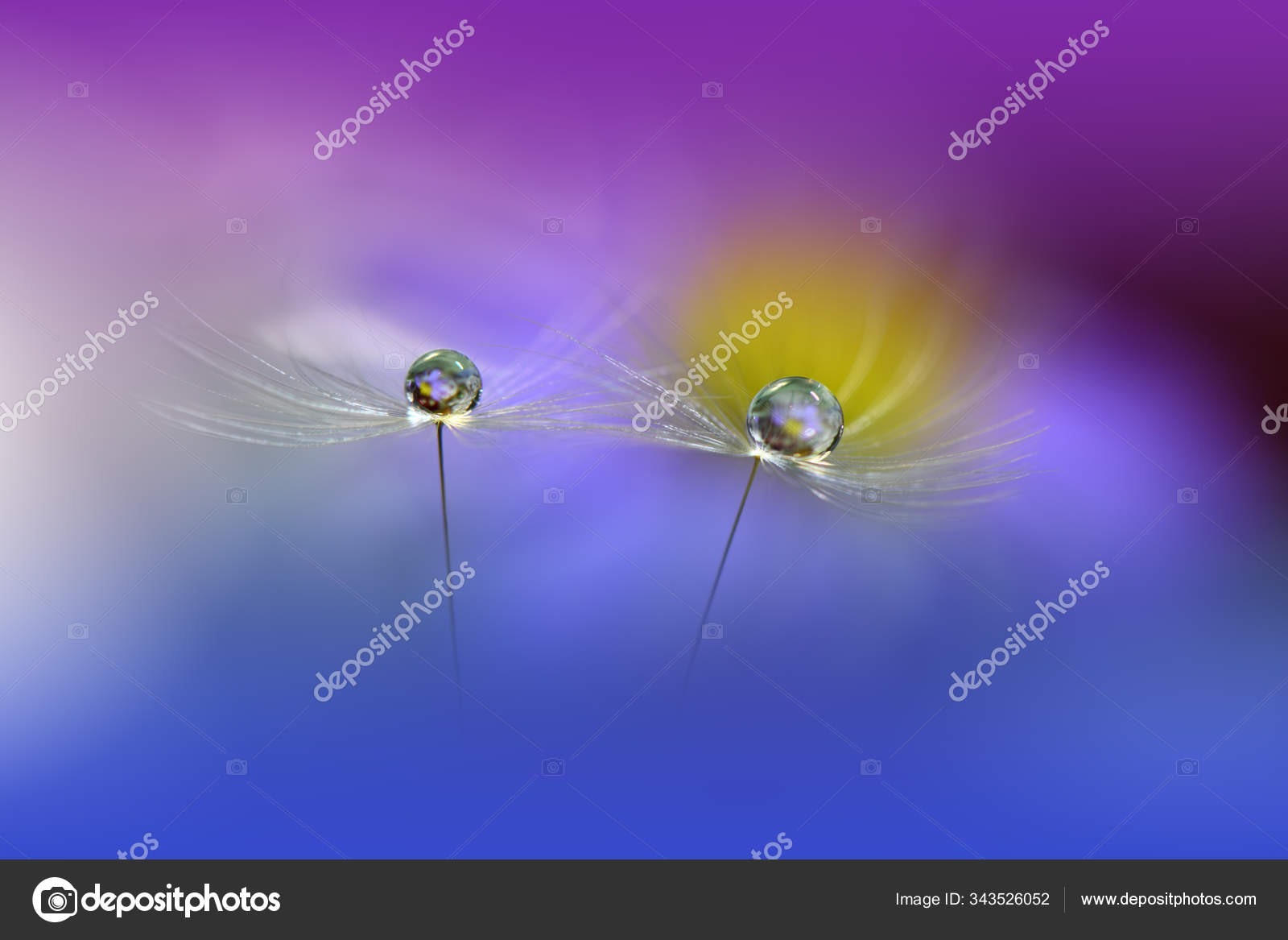 Beautiful Blue Nature Background Floral Art Design Abstract Macro ...