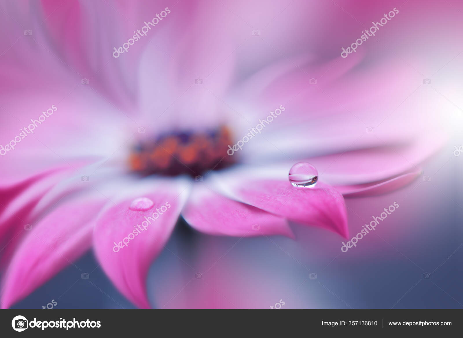 Creative Wallpaper Nature Background Design