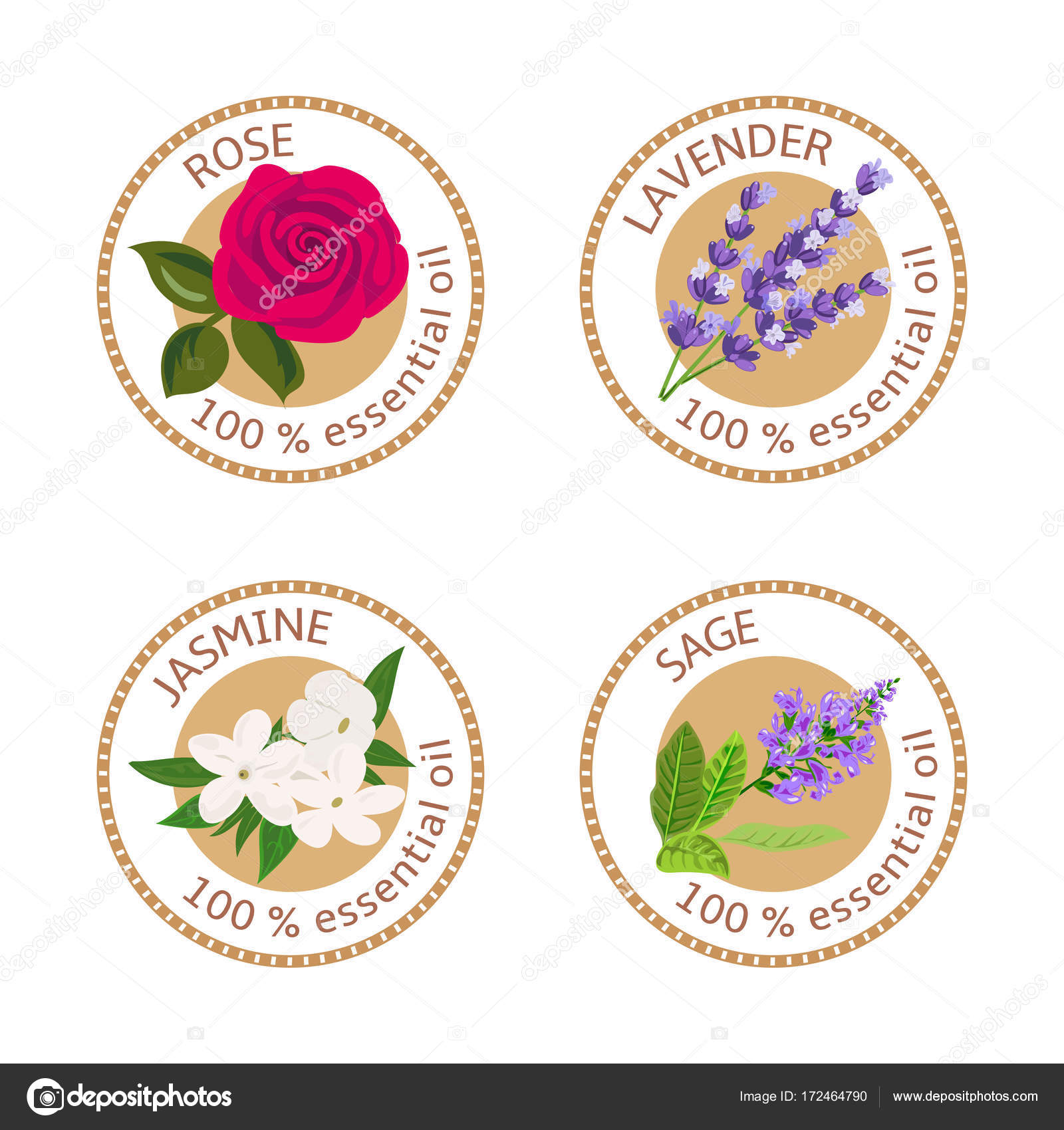 Set of essential oils labels. Rose, Sage, Lavender, jasmine Stock ...