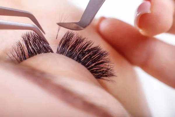Eyelash Extension Procedure. Woman Eye with Long Eyelashes. Lashes ...